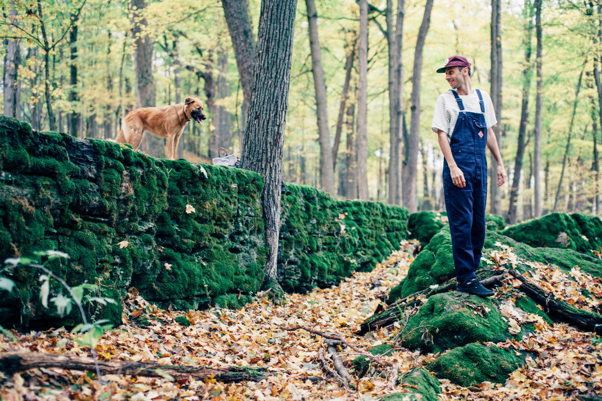 Tews Falls — Philistine